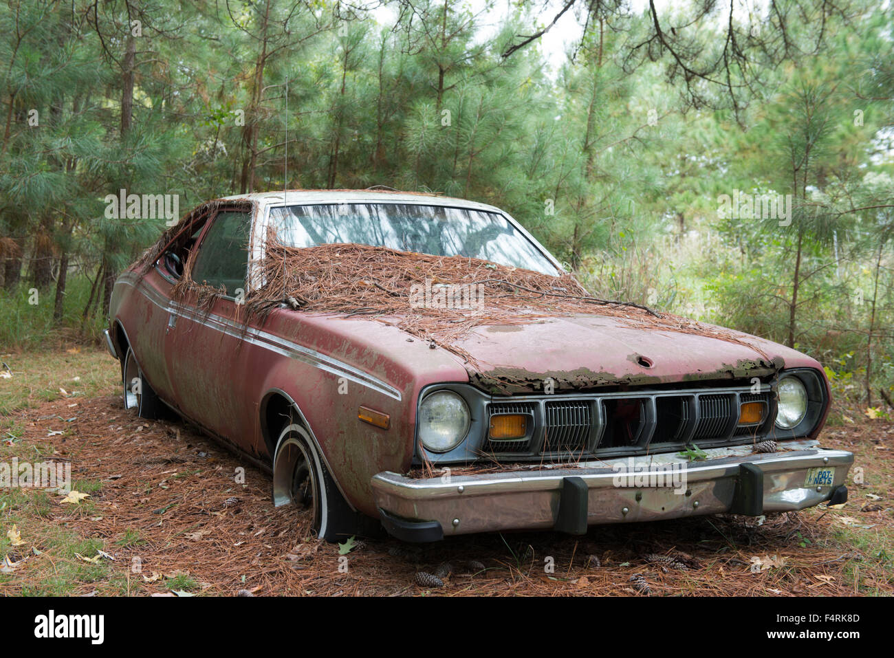 An abandoned car in rural Maryland, USA Stock Photo - Alamy
