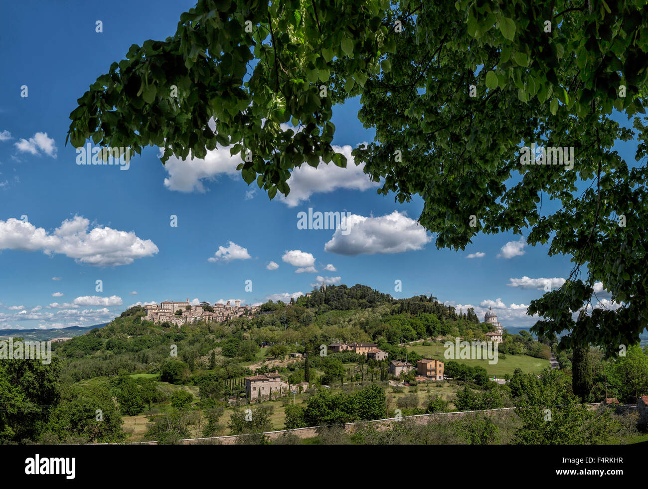 Italy, Europe, Umbria, Todi, landscape, field, meadow, trees, spring ...
