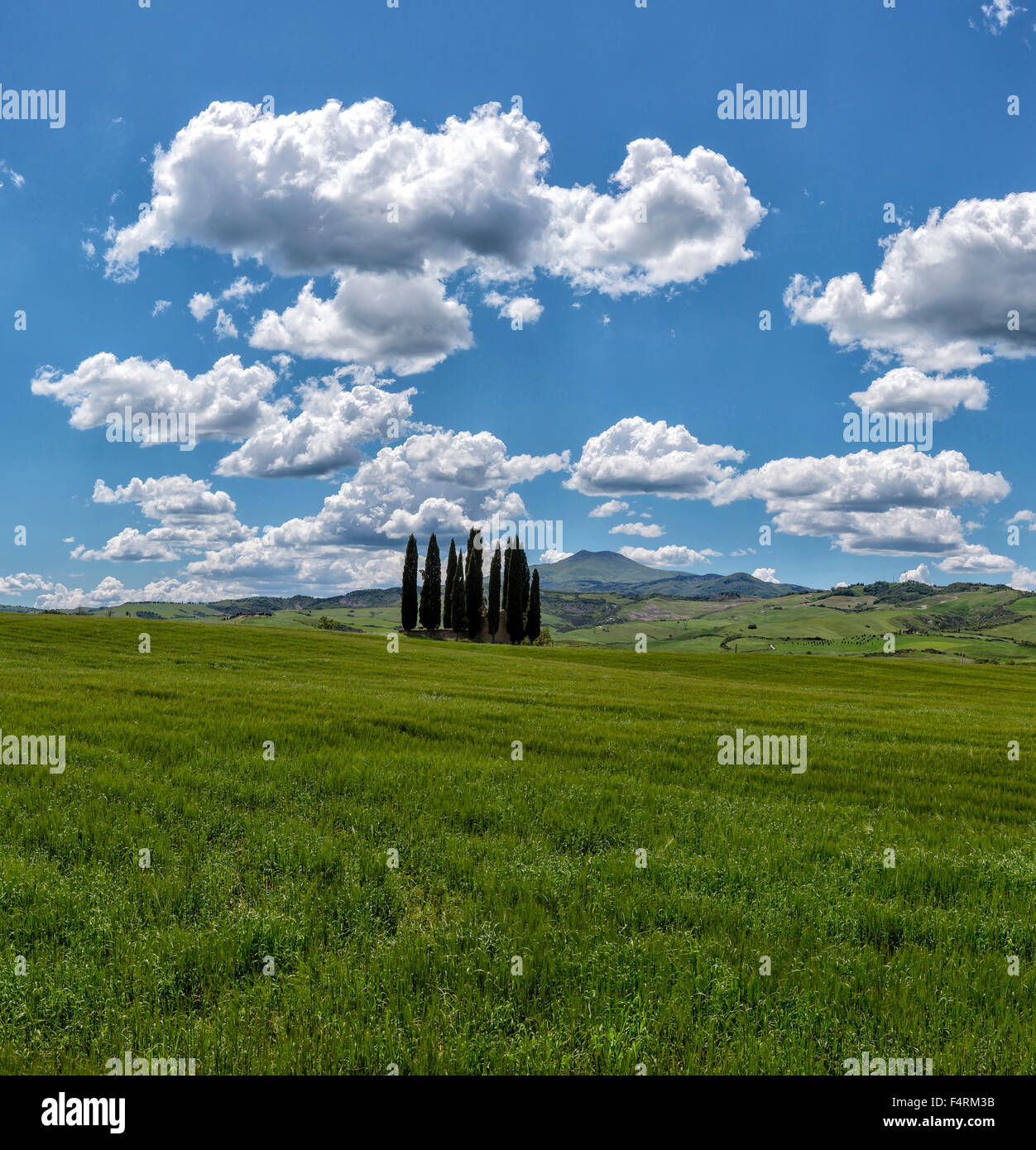 Spring in toscana hi-res stock photography and images - Alamy