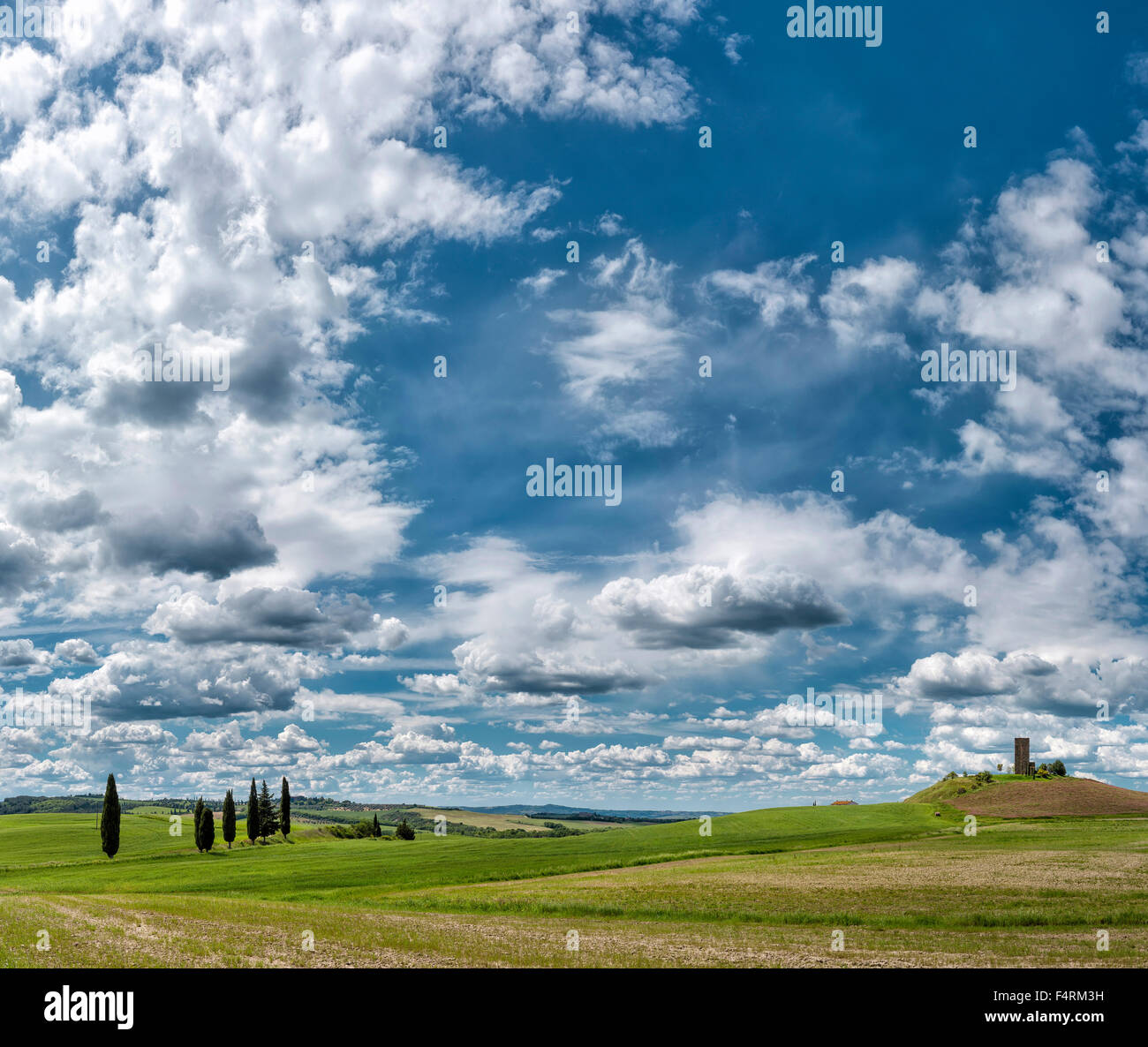 Italy, Europe, Toscana, Tuscany, Castelvecchio, landscape, field ...