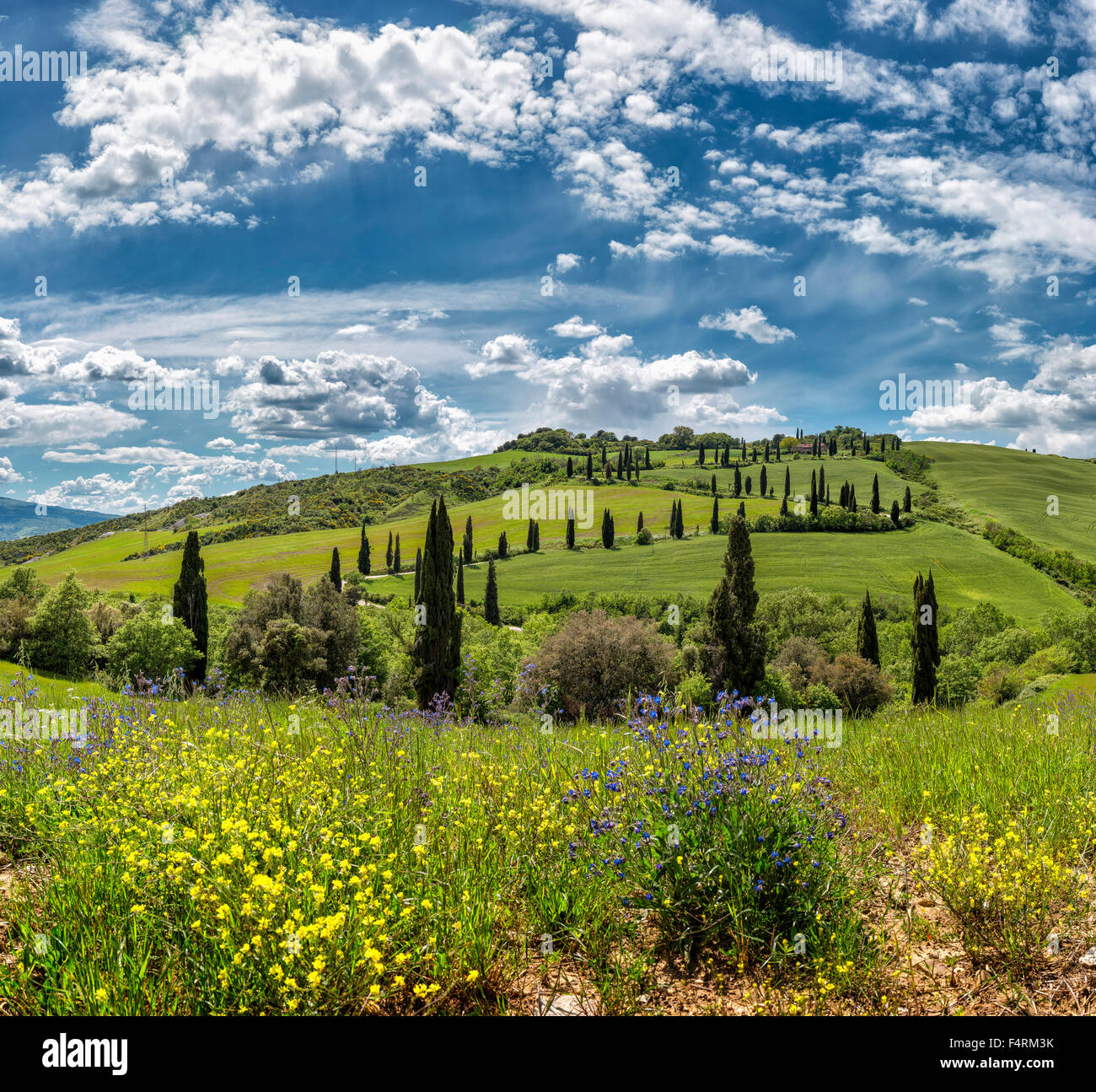 Italy, Europe, Toscana, Tuscany, Castelluccio, landscape, field, meadow ...