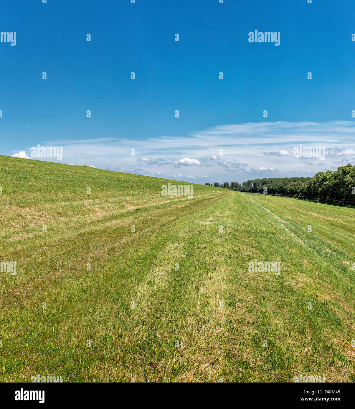 Lelystad Flevoland Stock Photos & Lelystad Flevoland Stock Images - Alamy