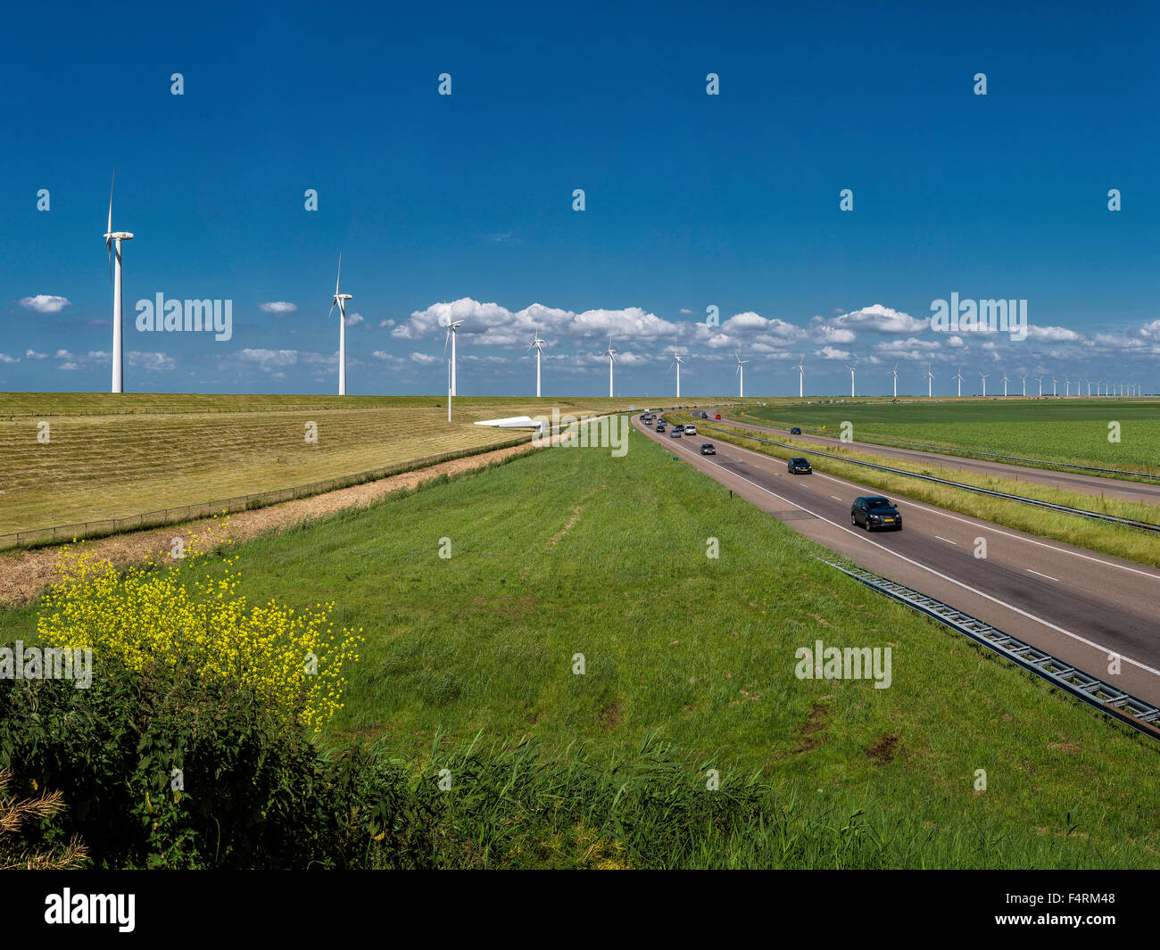 Netherlands, Europe, Holland, Lelystad, Flevoland, windmill, field ...