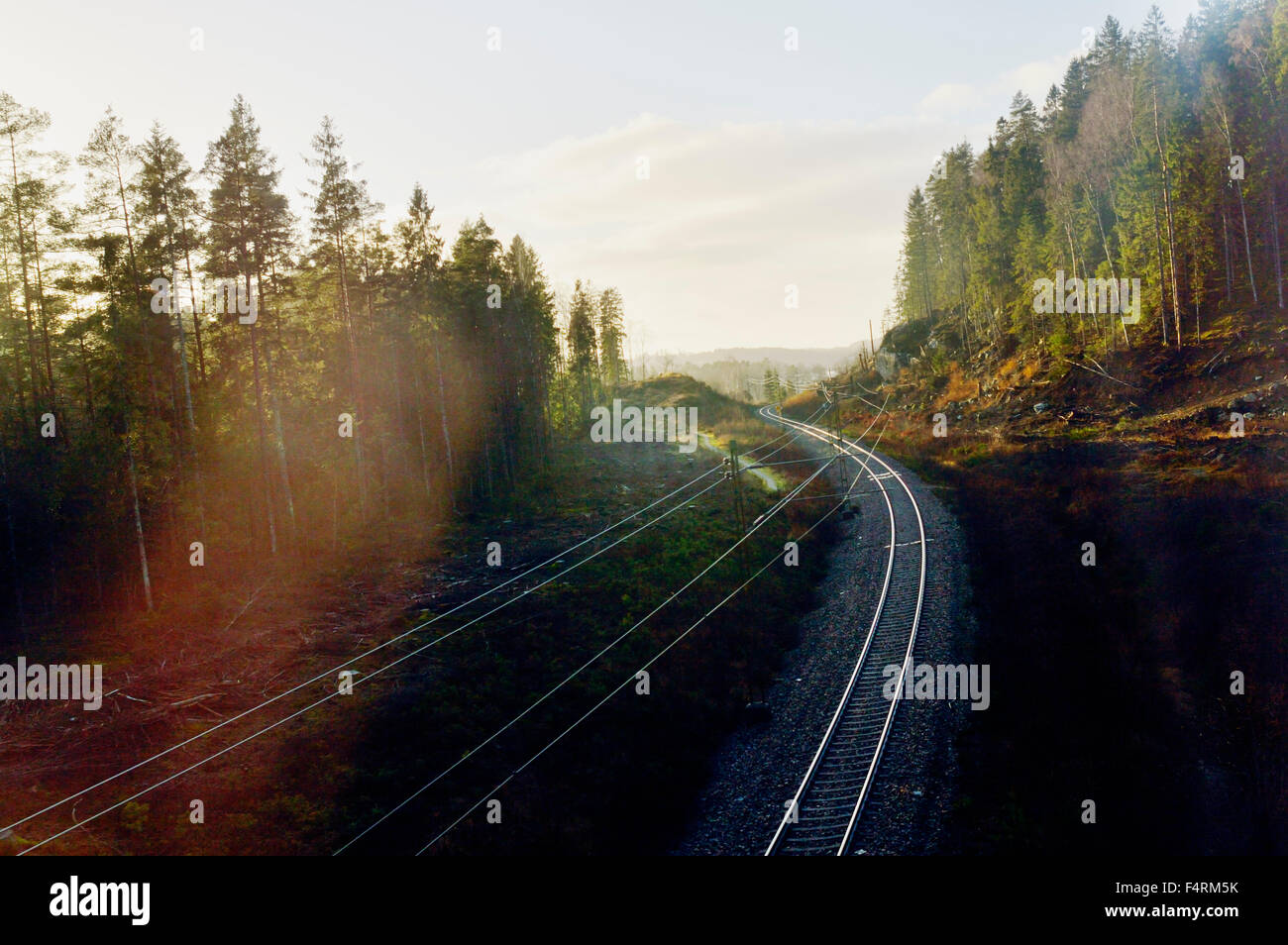 Forest railroad hi-res stock photography and images - Alamy