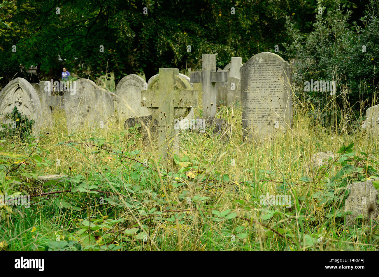 Gravestones in an overgrown cemetery Stock Photo - Alamy
