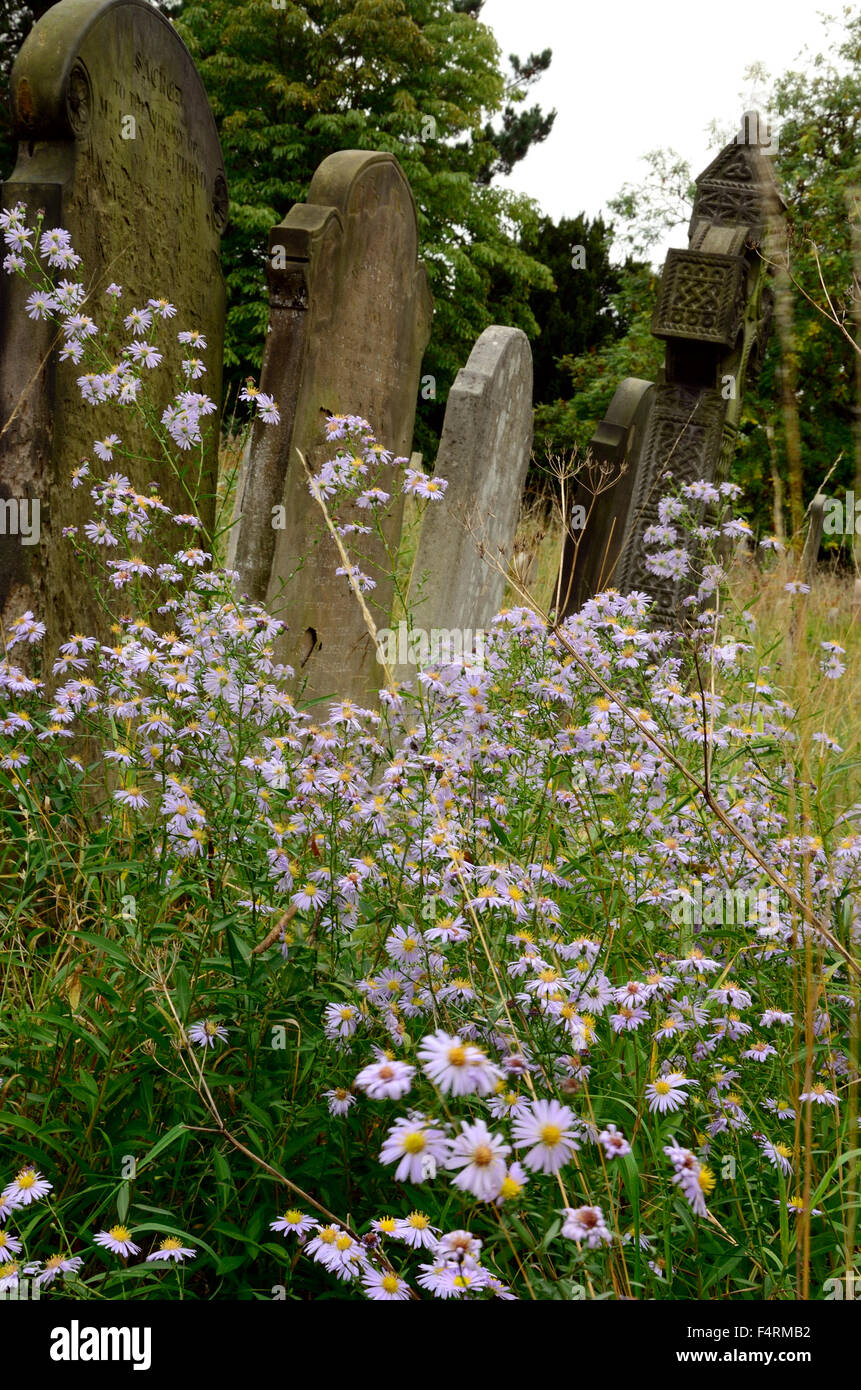 Gravestones in an overgrown cemetery Stock Photo - Alamy