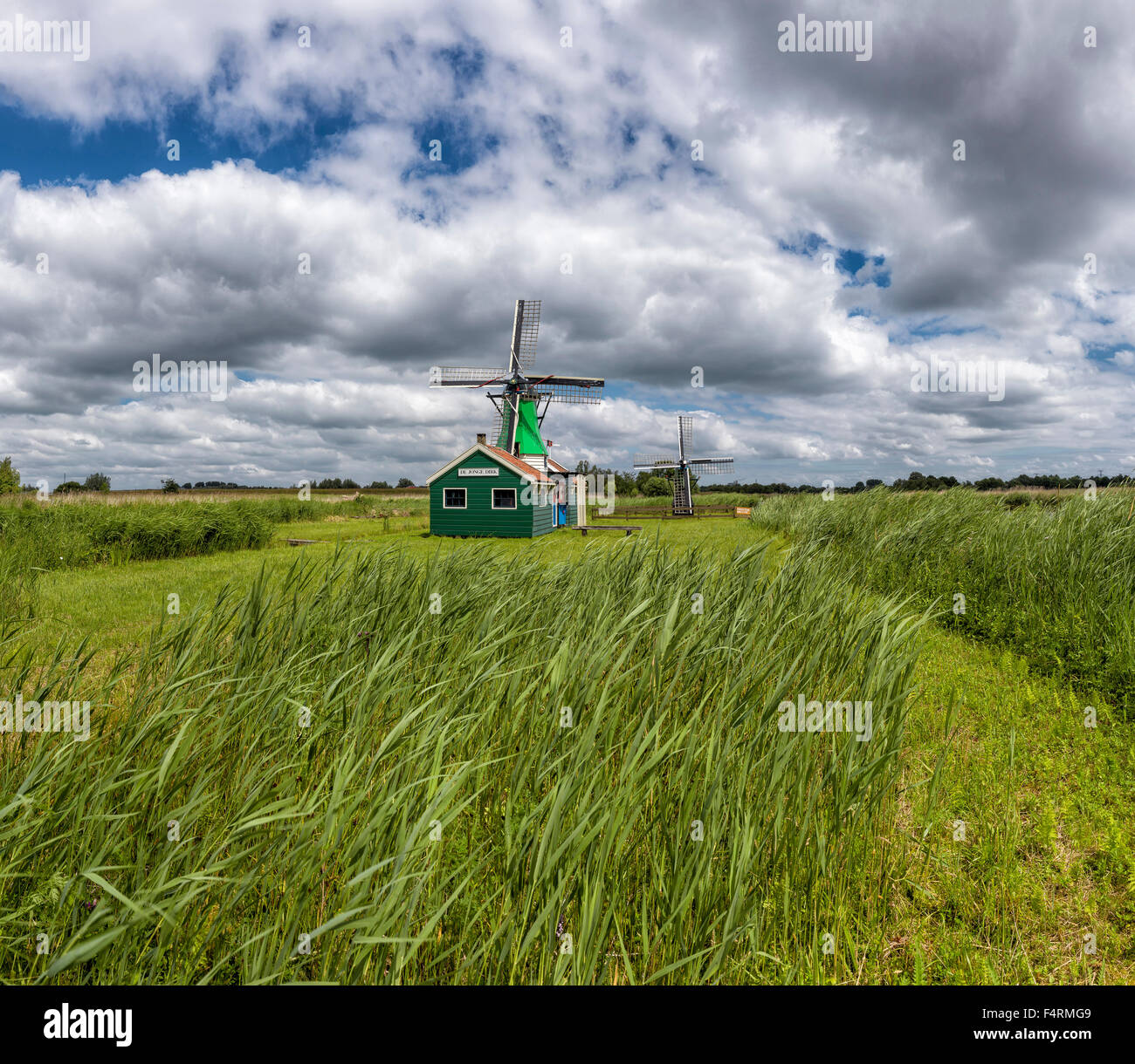 De jonge dirk hi-res stock photography and images - Alamy