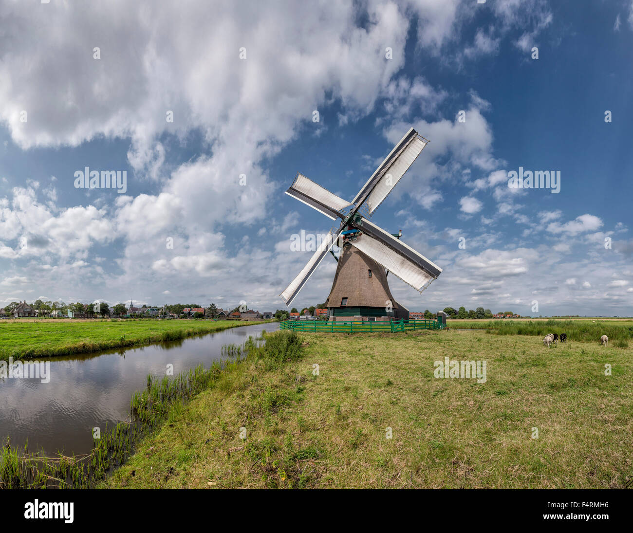 Netherlands, Europe, Holland, Wormer, Noord-Holland, windmill, field ...