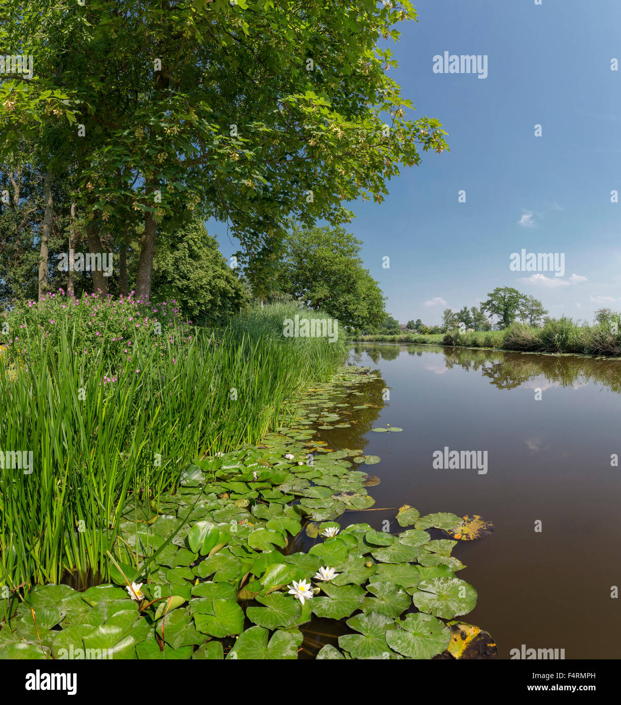 Groningen landscape hi-res stock photography and images - Alamy