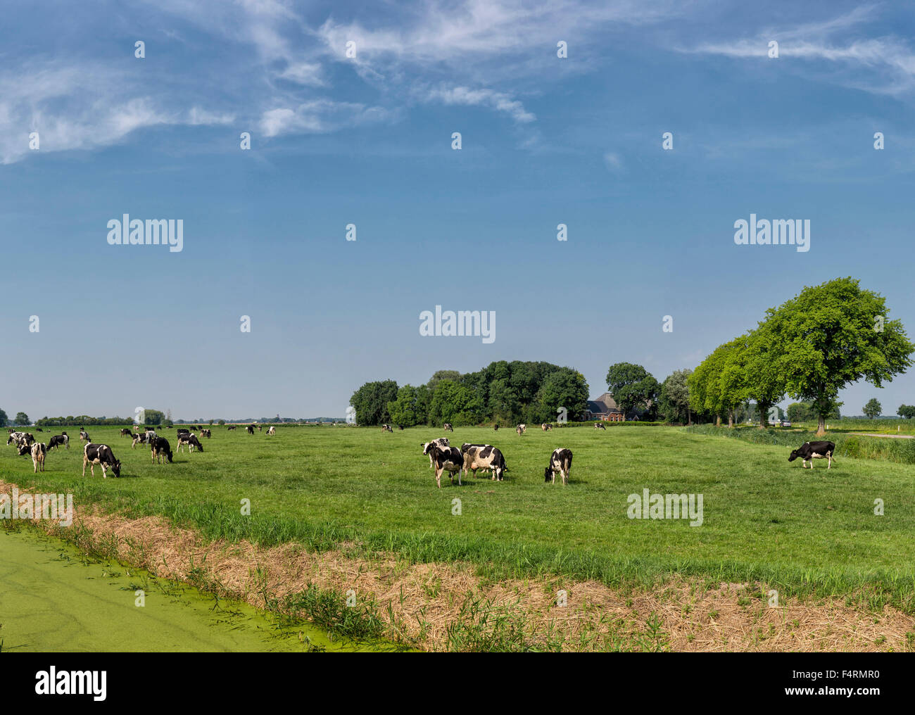 Groningen landscape hi-res stock photography and images - Alamy