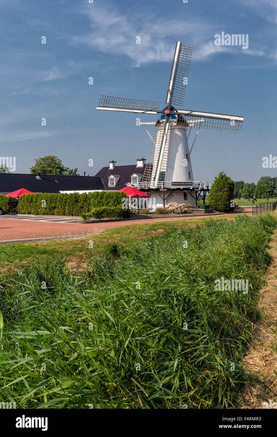 Netherlands, Europe, Holland, Ten Post, Groningen, windmill, summer ...
