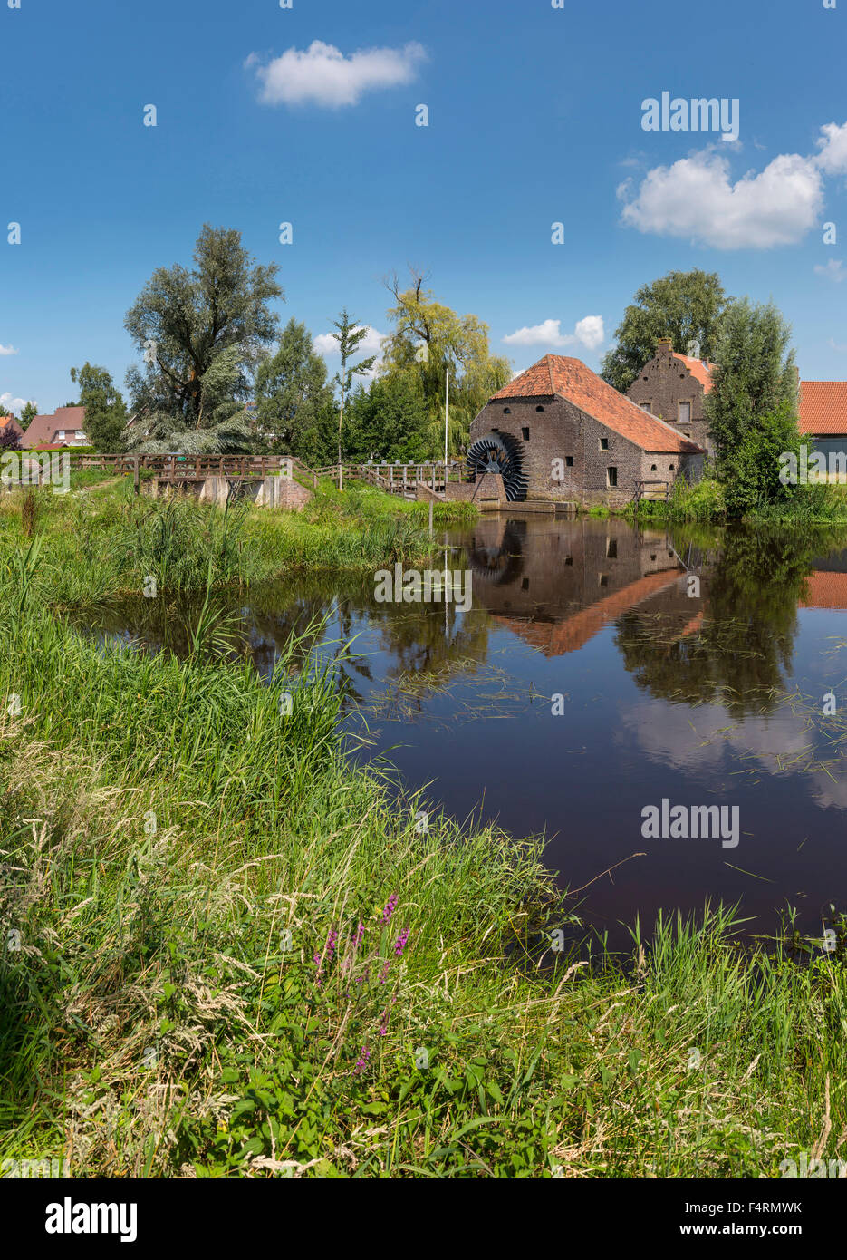 Netherlands, Europe, Holland, Neer, Limburg, windmill, water, summer ...