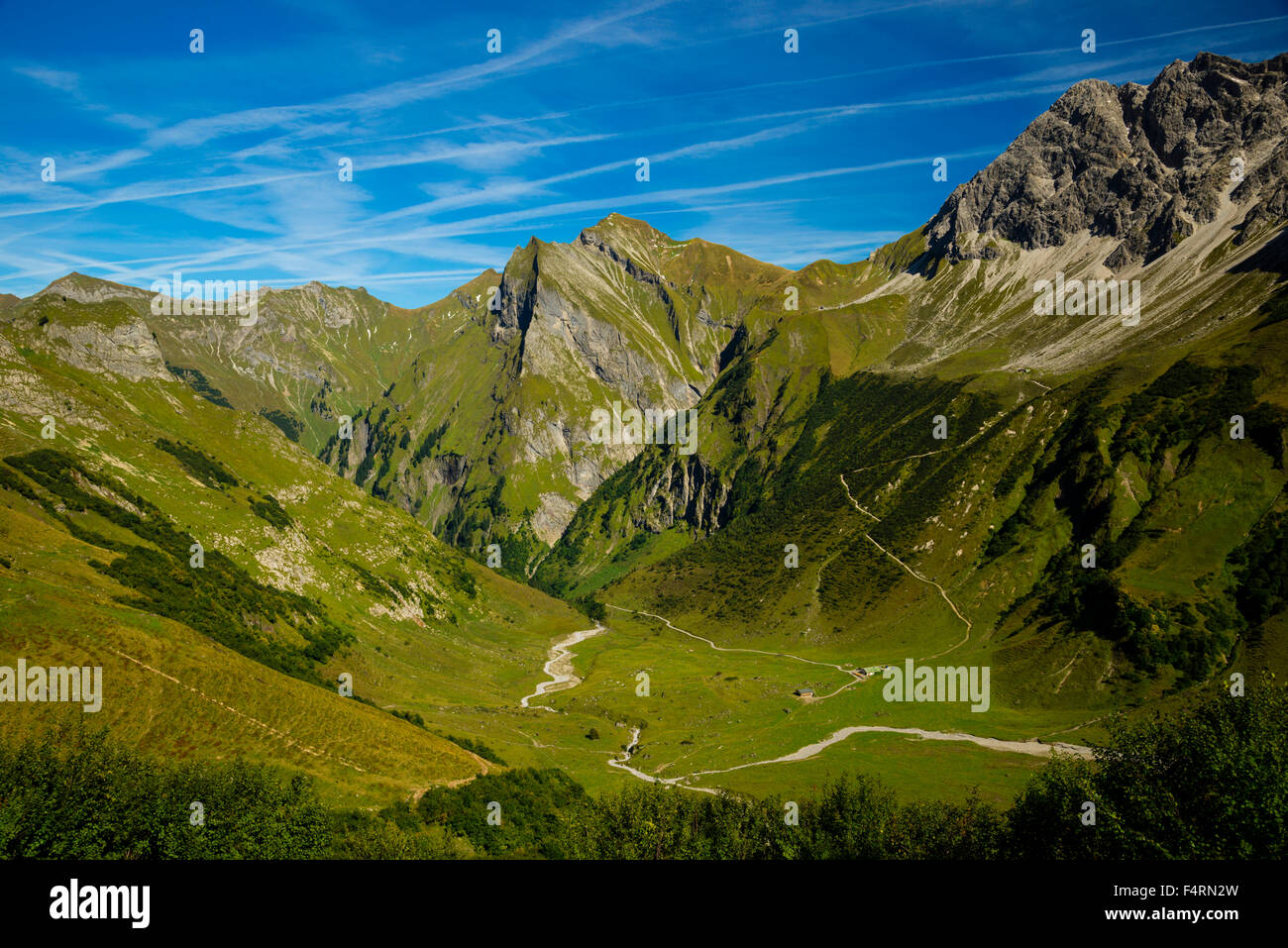 Grasslands hi-res stock photography and images - Alamy