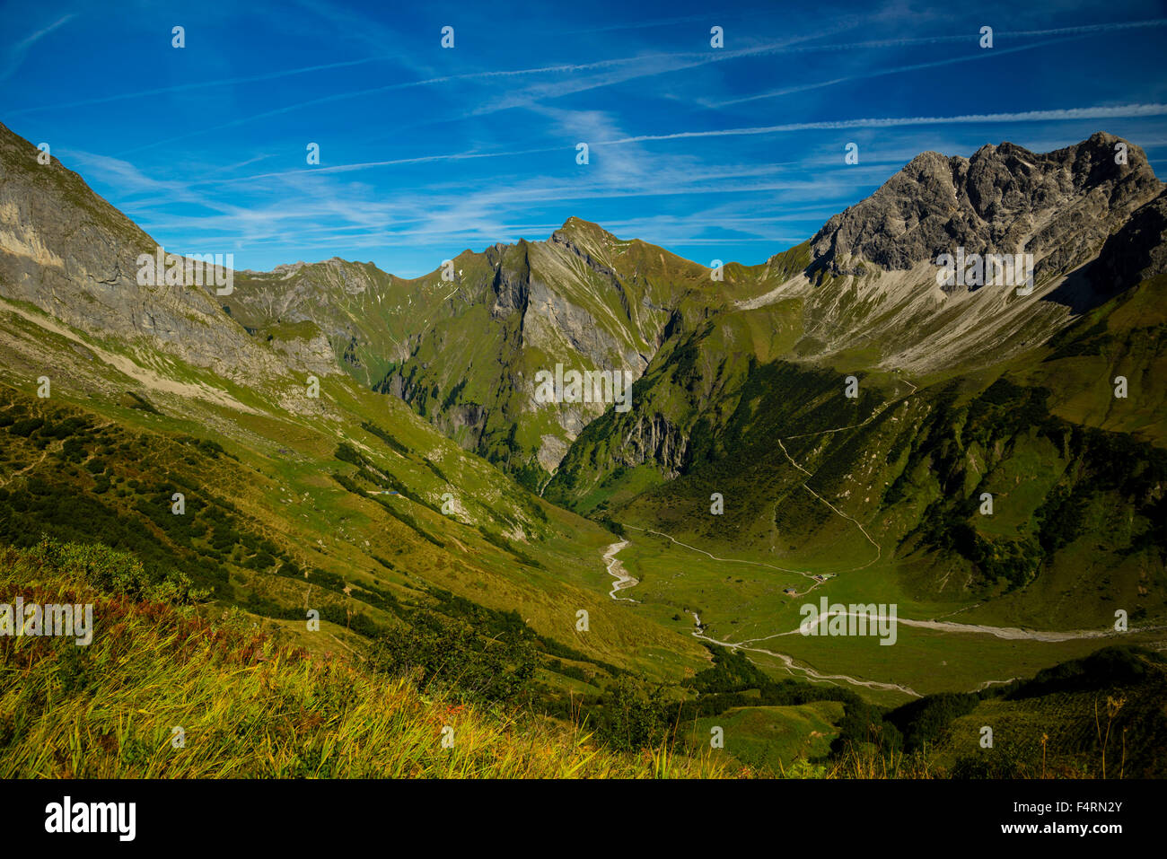 Of, Alps, alp, Alpine grasslands, Alps, Bavaria, mountain landscape ...