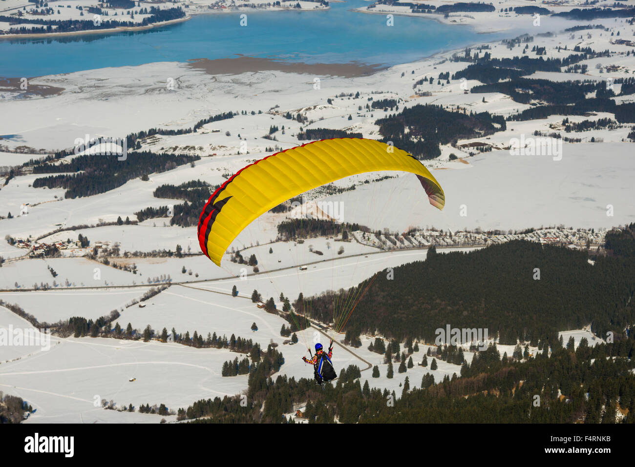 Bavaria, Germany, Europe, Forggensee, paraglider airman, fog, Ostallgäu ...