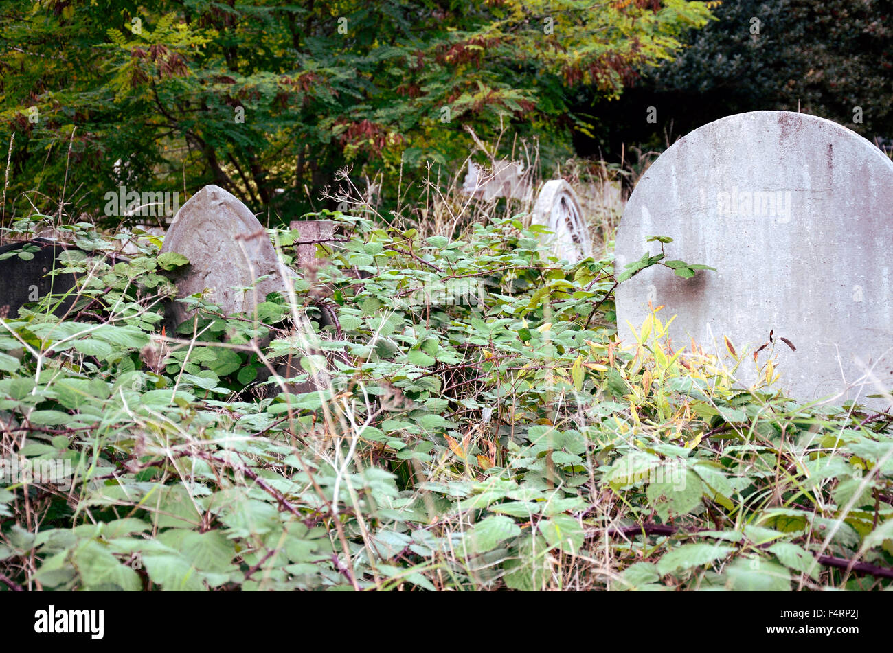 Unmaintained cemetery hi-res stock photography and images - Alamy