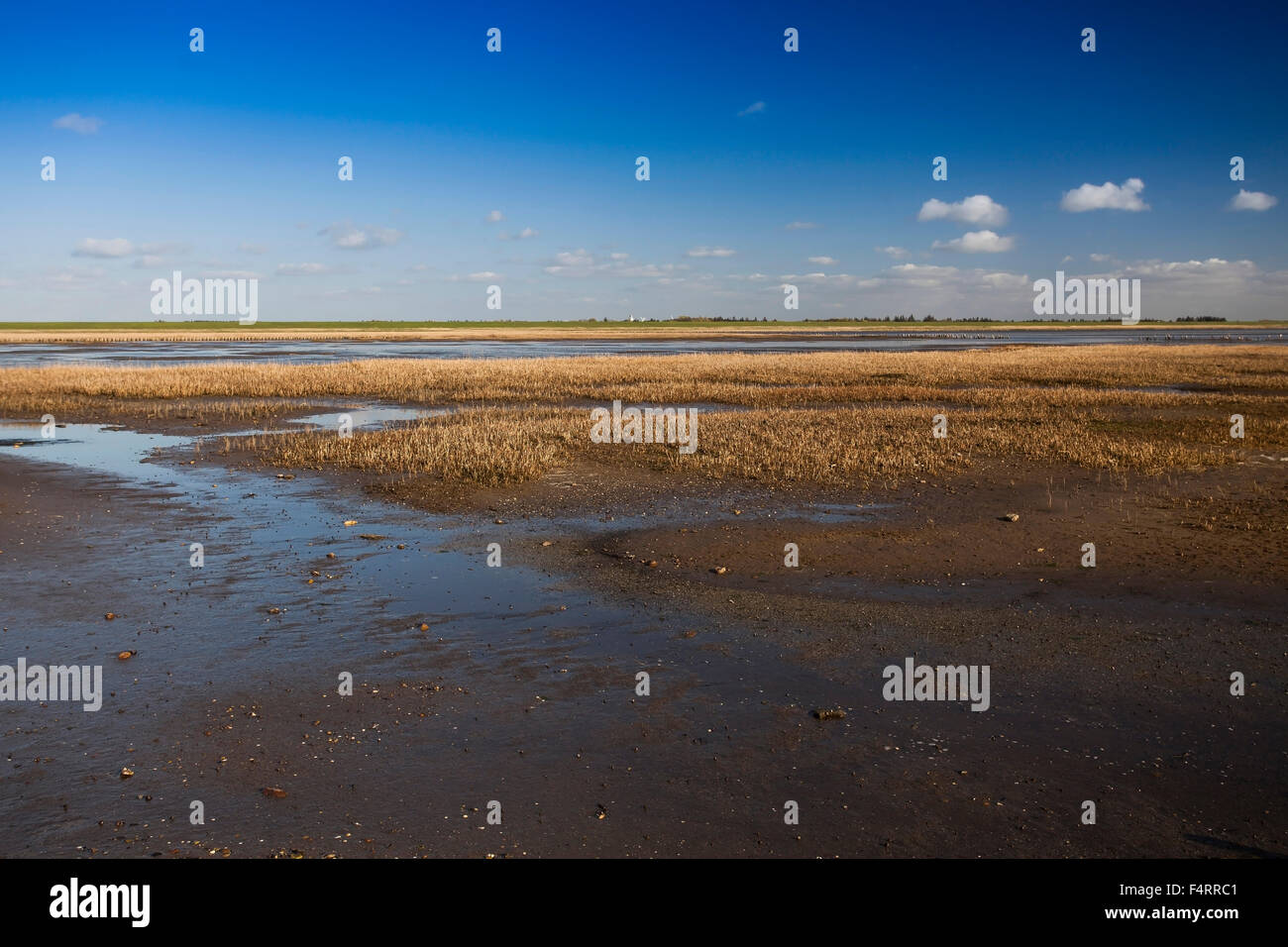 National Park Wadden Sea near the Danish Island Mandö, Jutland, Denmark ...