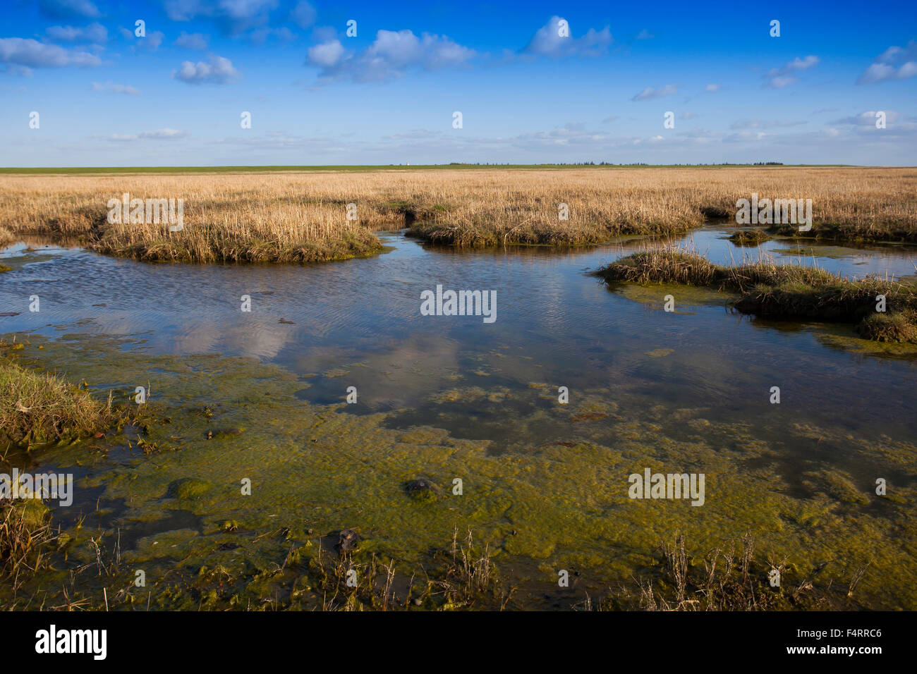 World cultural heritage wadden sea hi-res stock photography and images ...