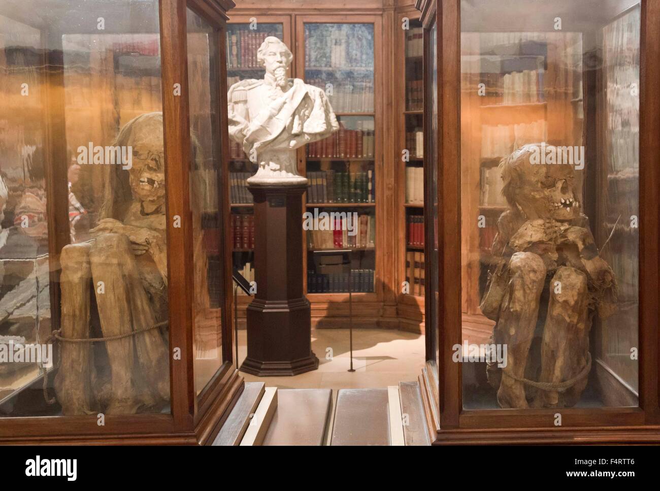 Peruvian mummy hi-res stock photography and images - Alamy