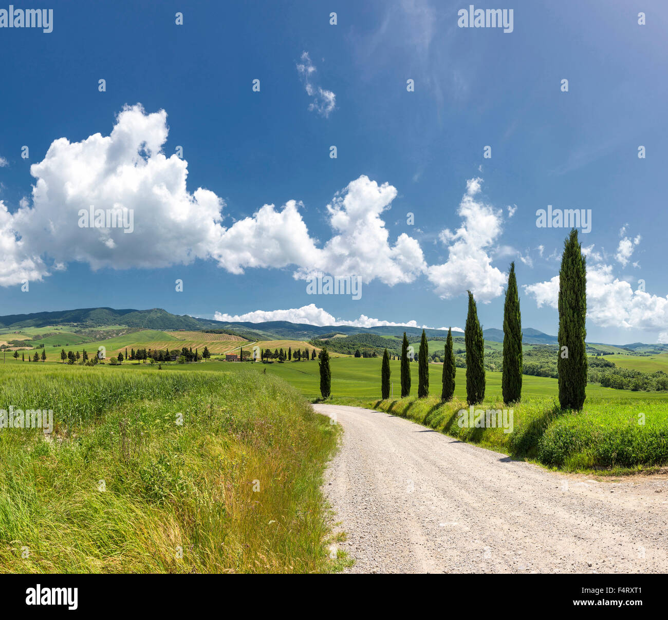 Contignano hi-res stock photography and images - Alamy
