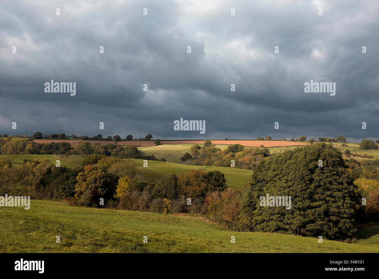 Landscape in south Shropshire, England, UK Stock Photo - Alamy