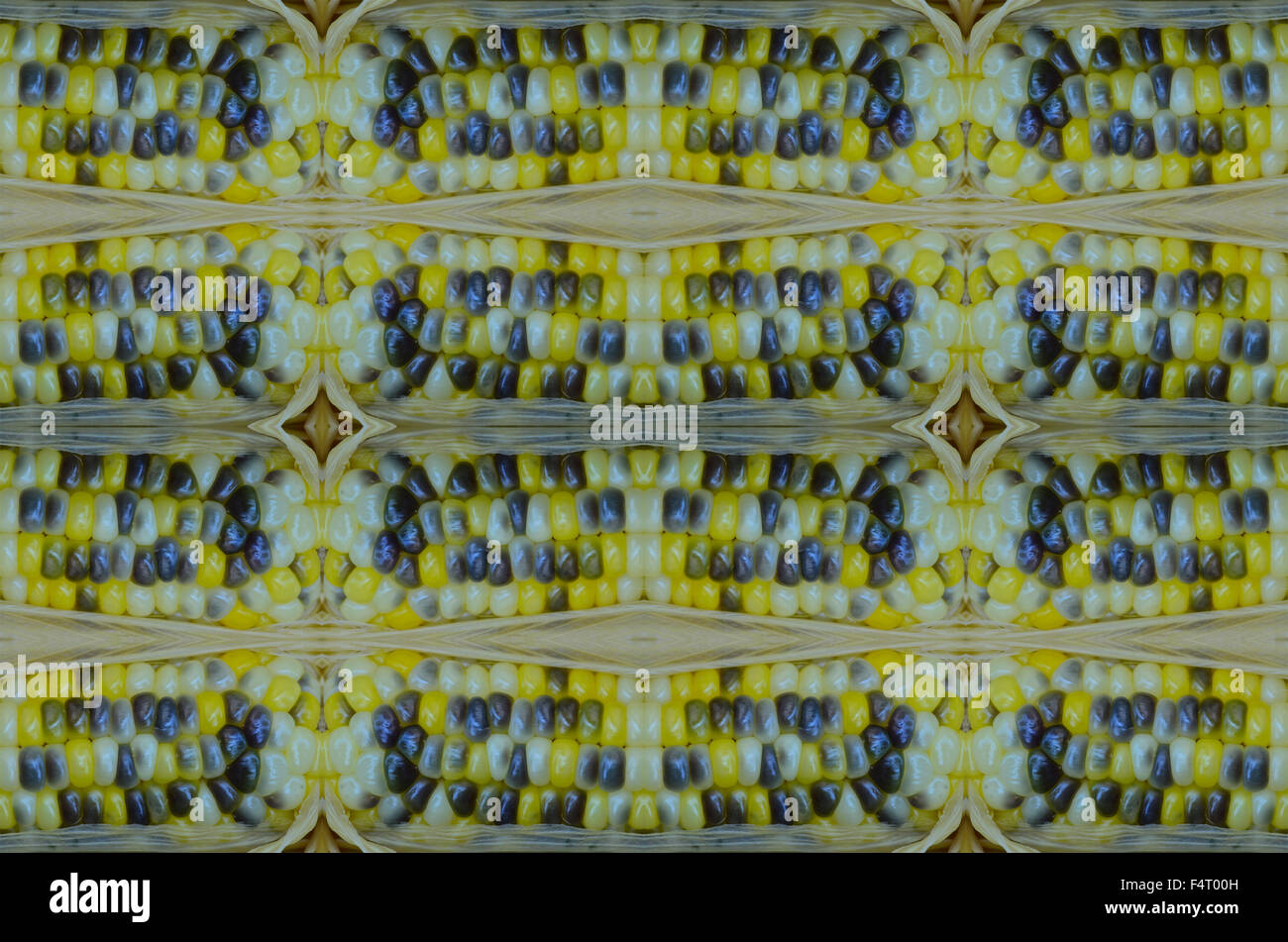 Boiled corn background Stock Photo - Alamy