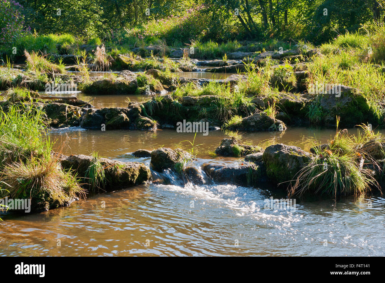 Fish Stair High Resolution Stock Photography and Images - Alamy