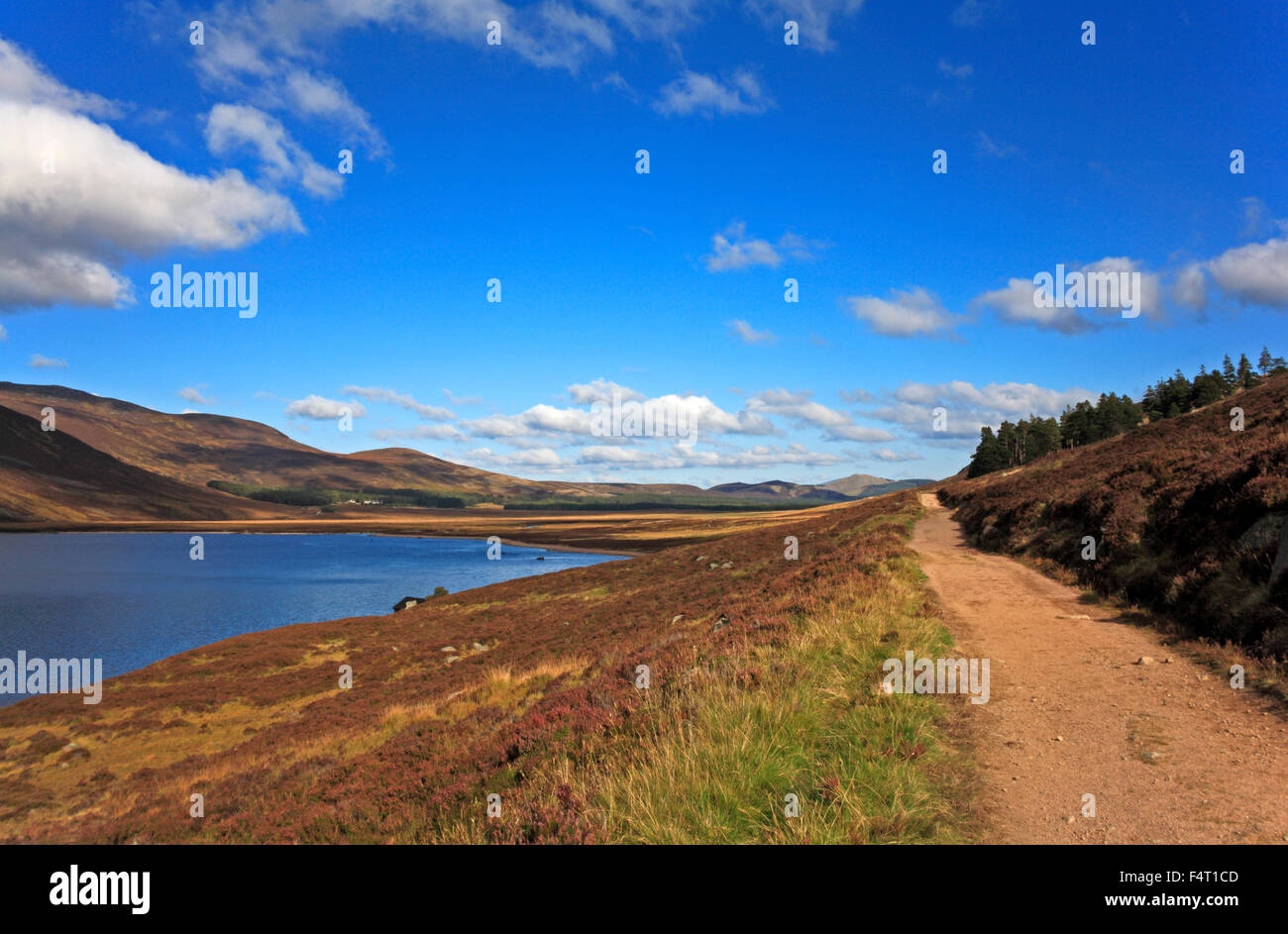 A view of Loch Muick with footpath in the Cairngorms National Park ...