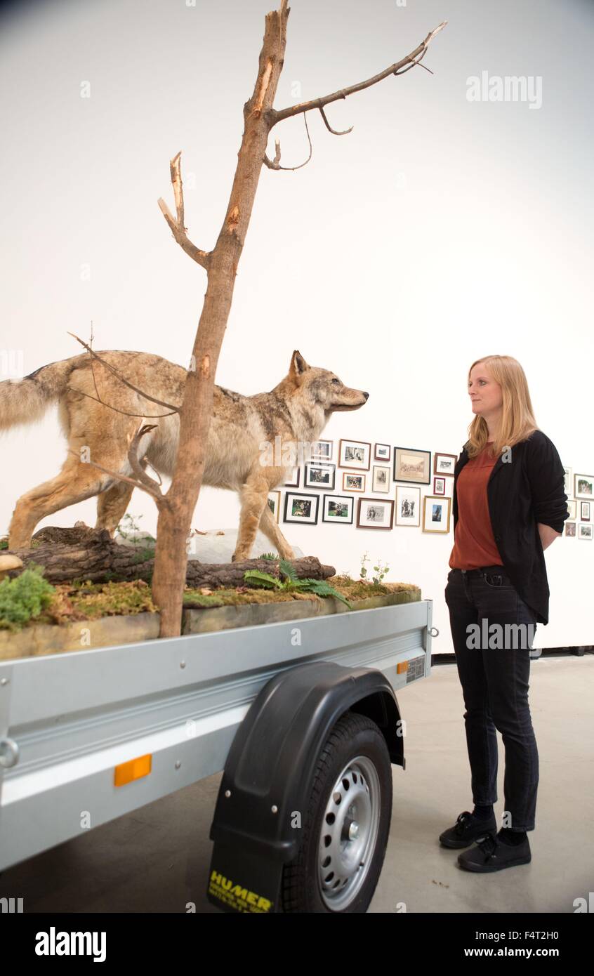 Herford, Germany. 22nd Oct, 2015. A visitor looks at an installation ...