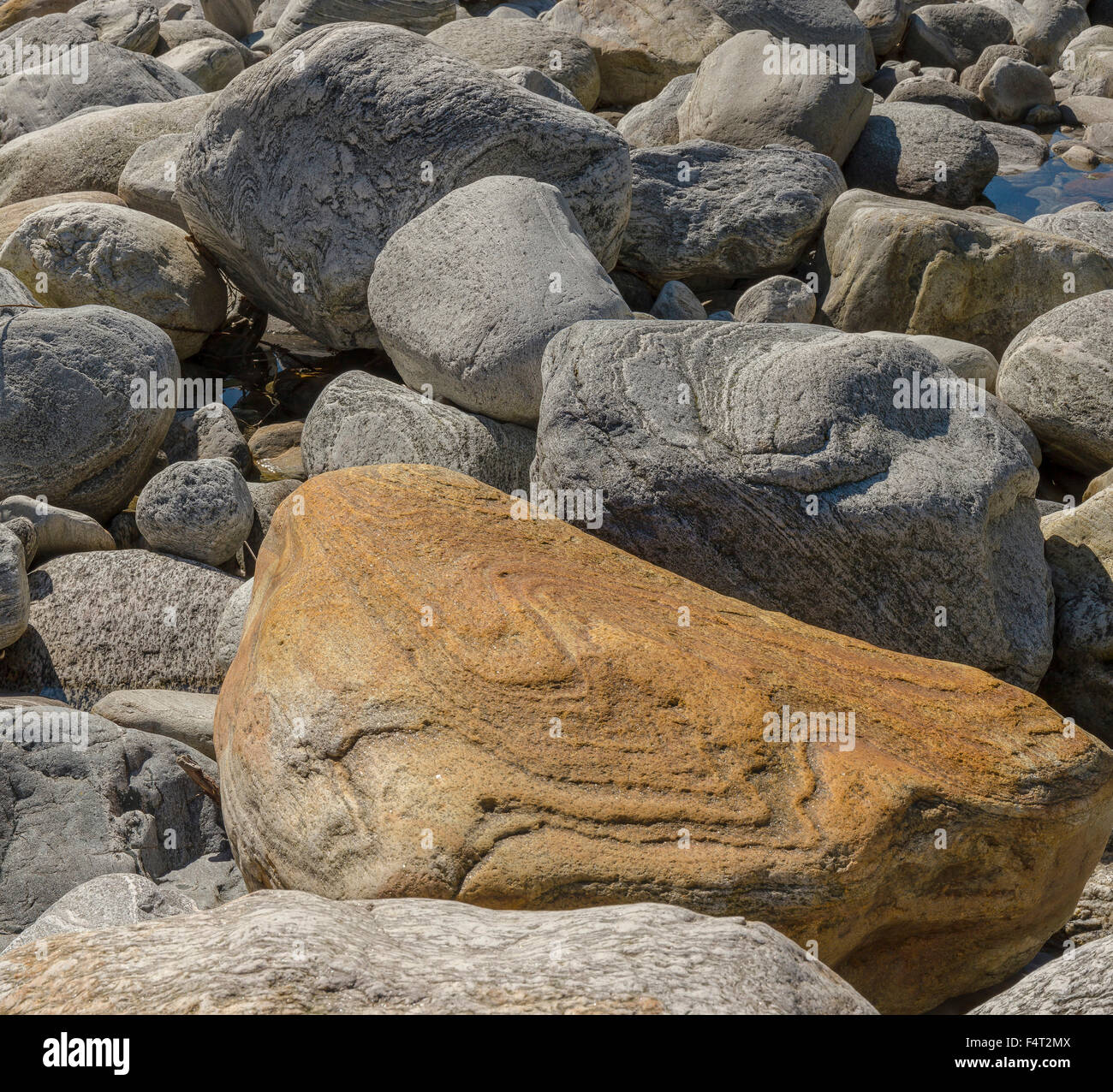 Switzerland, Europe, Tegna, Ticino, Large, coloured, pebbles, Maggia ...