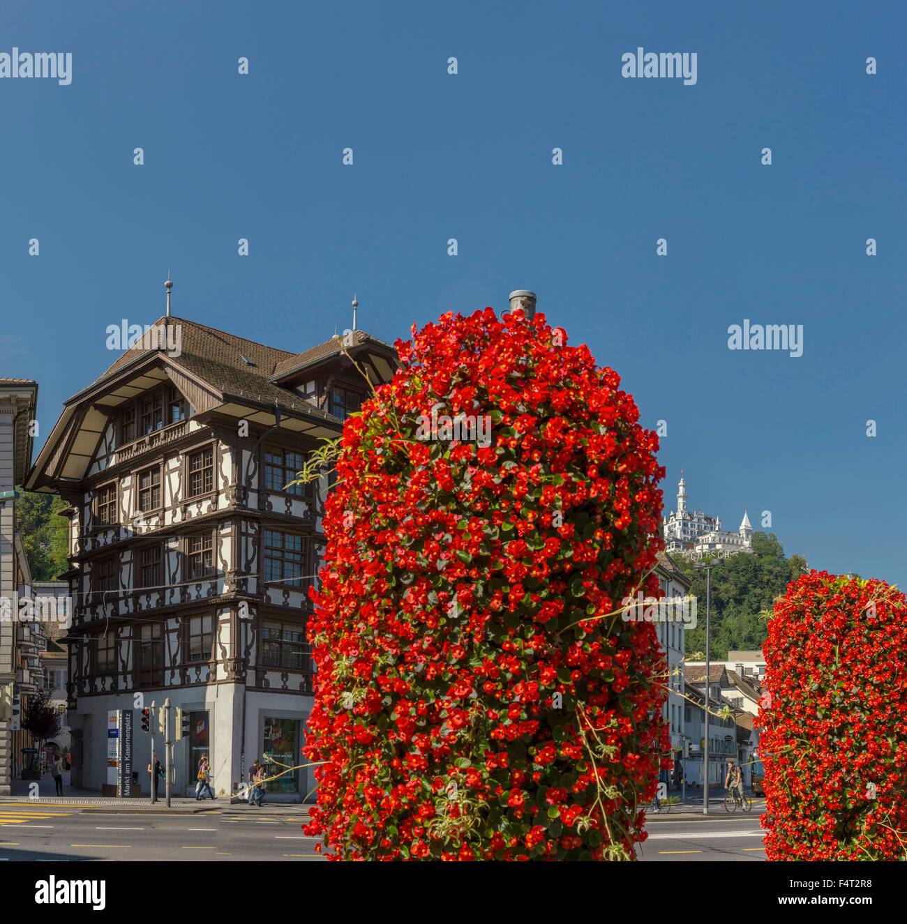 Timber framing hi-res stock photography and images - Alamy