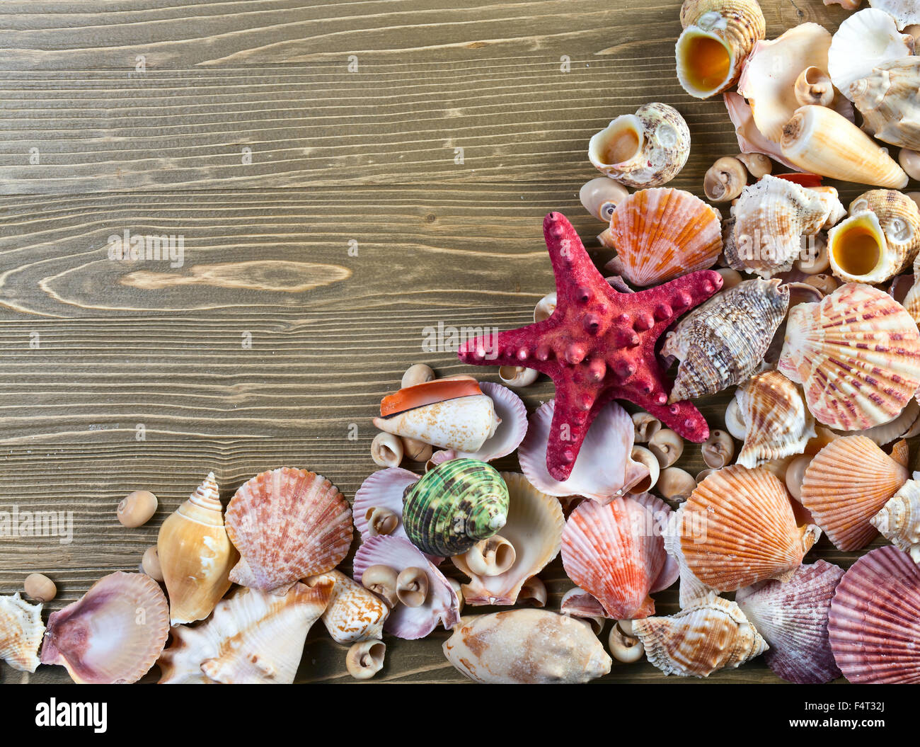 Sea shells on a old wooden table Stock Photo - Alamy