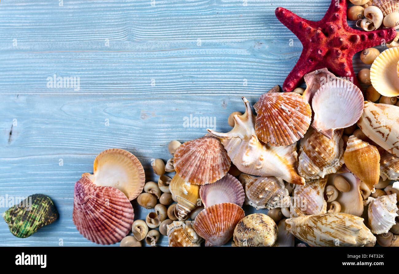 Sea shells on a old wooden table Stock Photo - Alamy