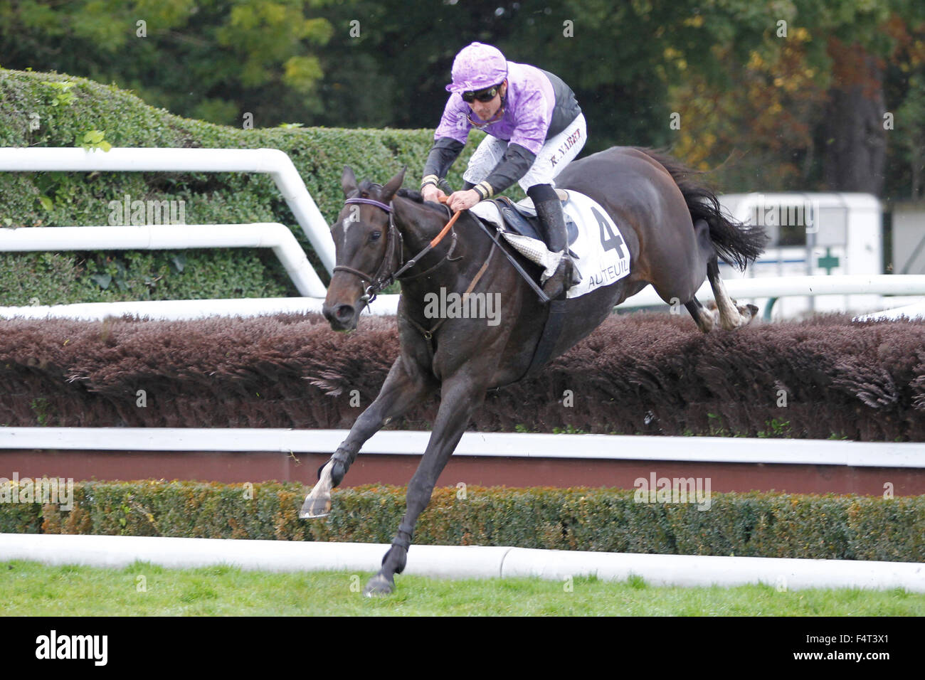 Roi de france horse racing hi-res stock photography and images - Alamy