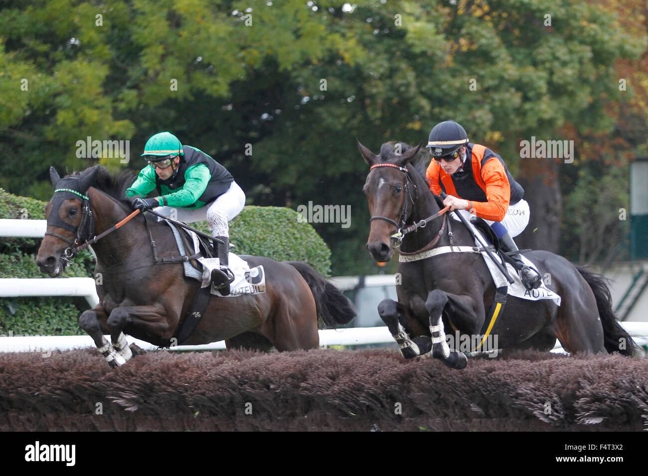 Auteuil Racecourse, Paris, France. 22nd Oct, 2015. Prix Mid Dancer ...