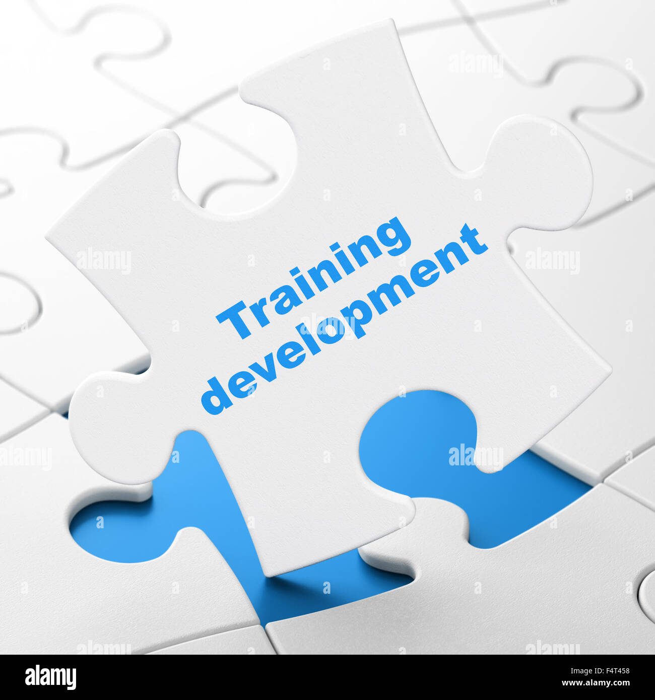 Education concept: Training Development on puzzle background Stock ...