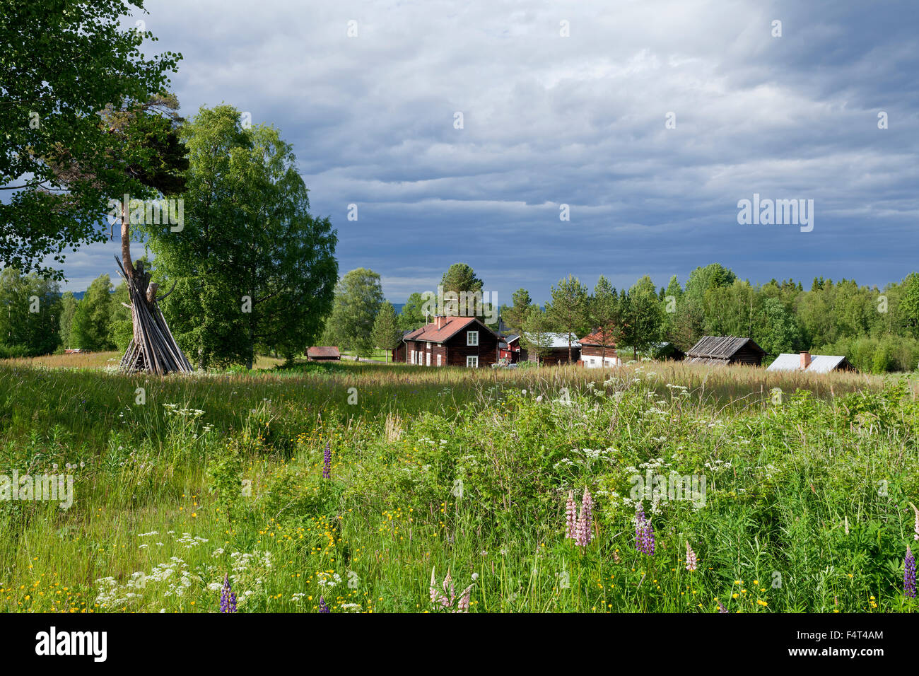 DALARNA, SWEDEN ON JULY 01, 2015. View of old Swedish farmland in rural ...
