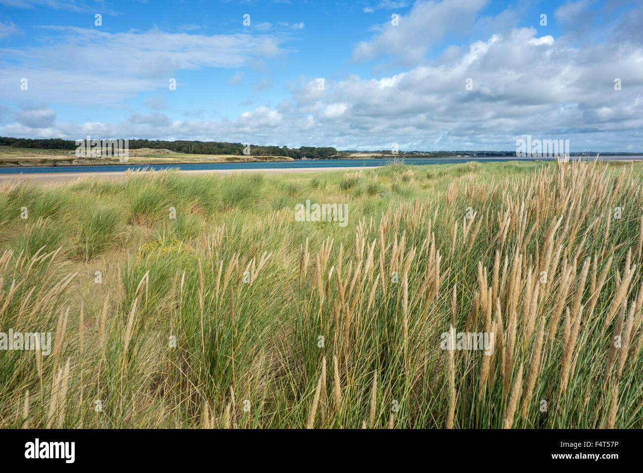 Malltraeth Bay on Anglesey North Wales Stock Photo - Alamy