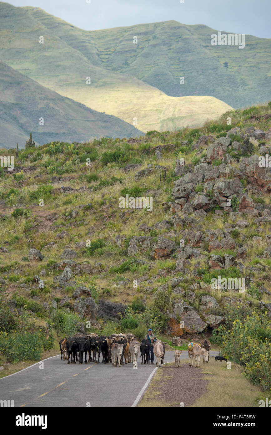 Rural andes hi-res stock photography and images - Alamy