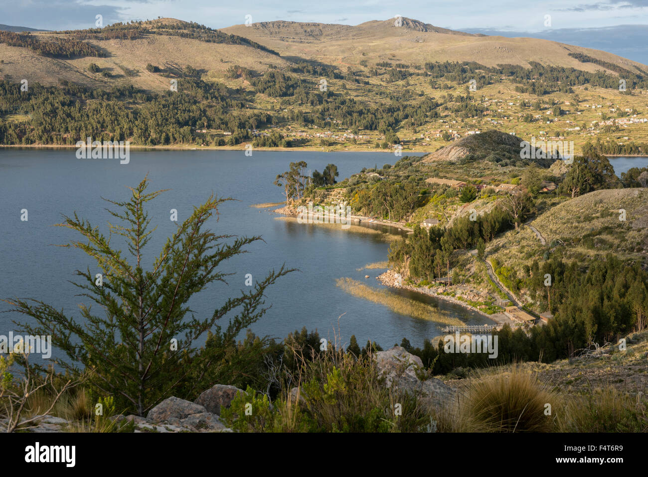 South America, Latin America, Peru, Lake Titicaca, Suasi Island, eco ...