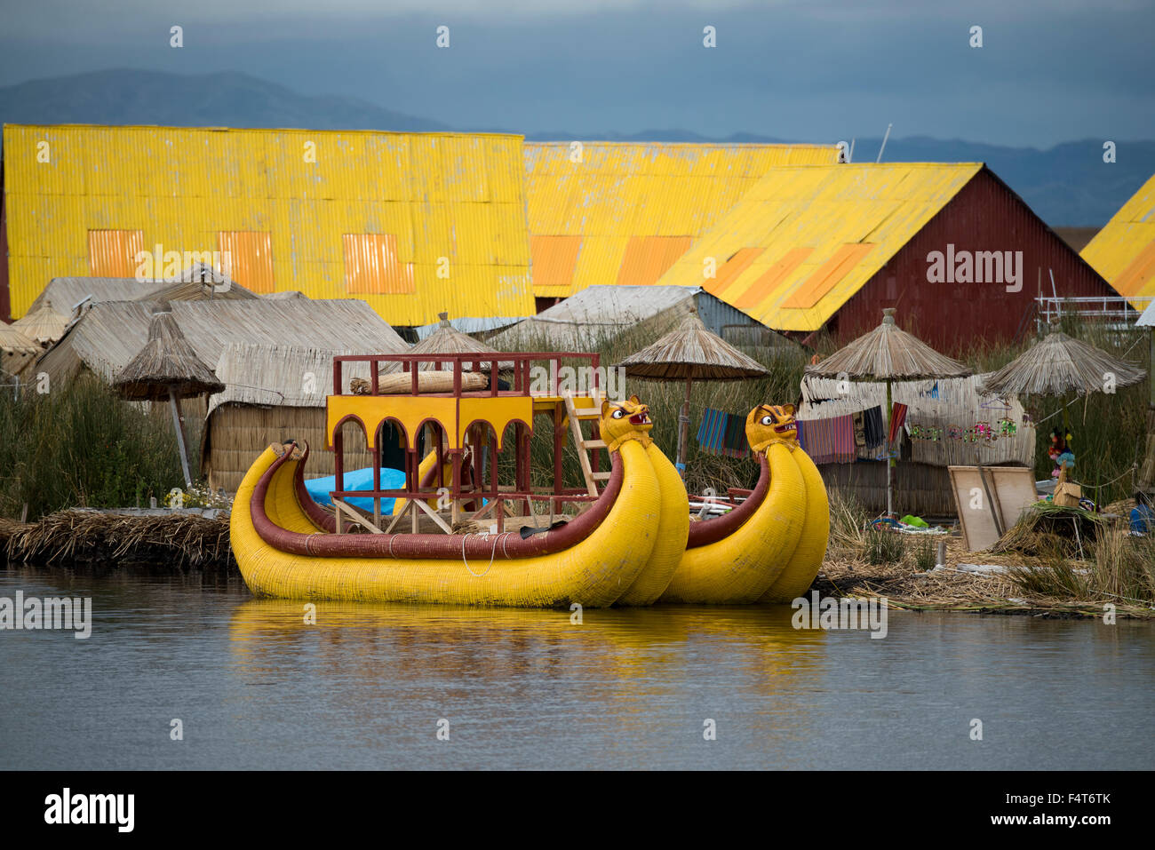 South America, Latin America, Peru, Lake Titicaca, Suasi Island, ros ...