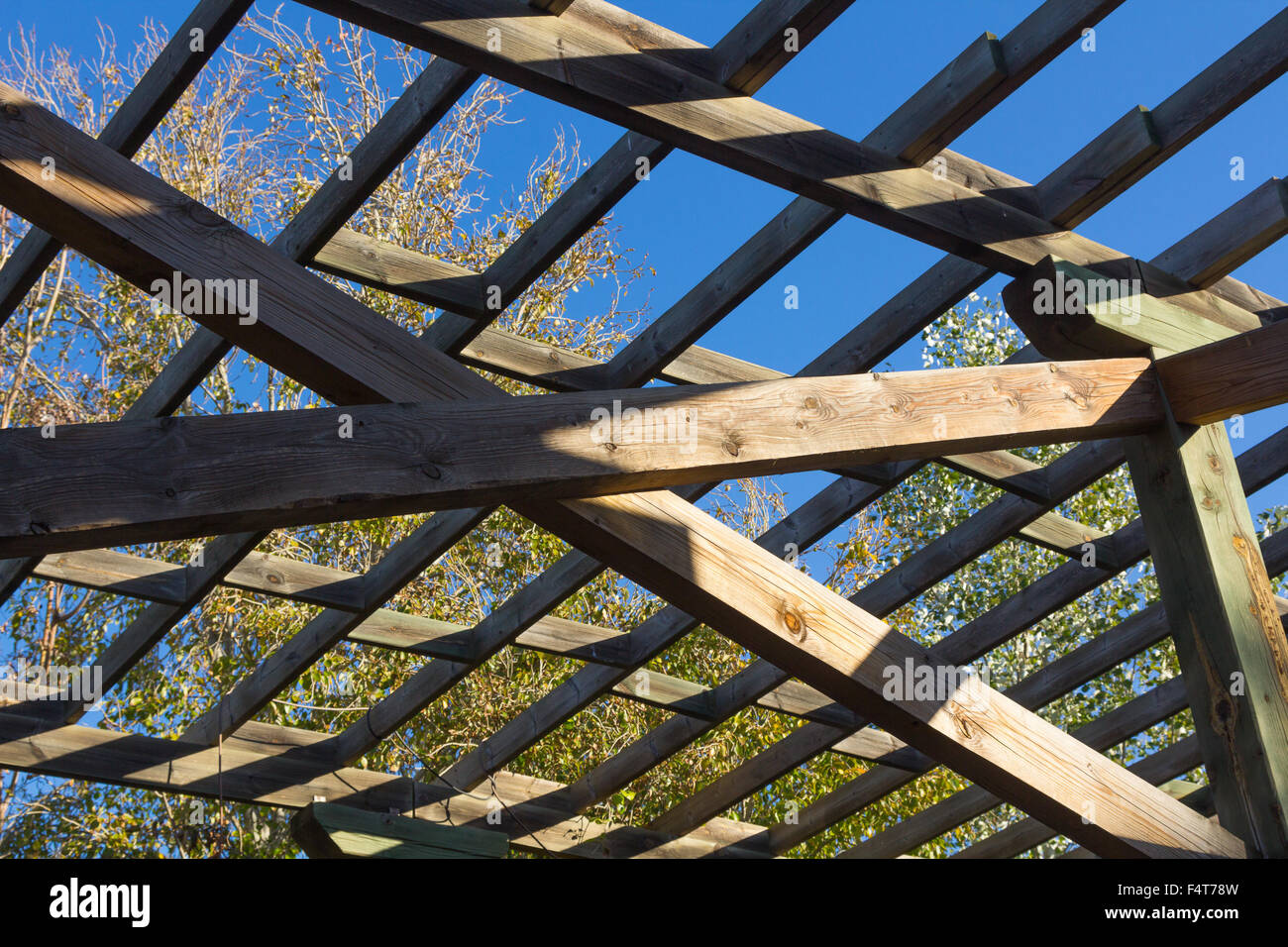structure of wood for climbing plants Stock Photo - Alamy