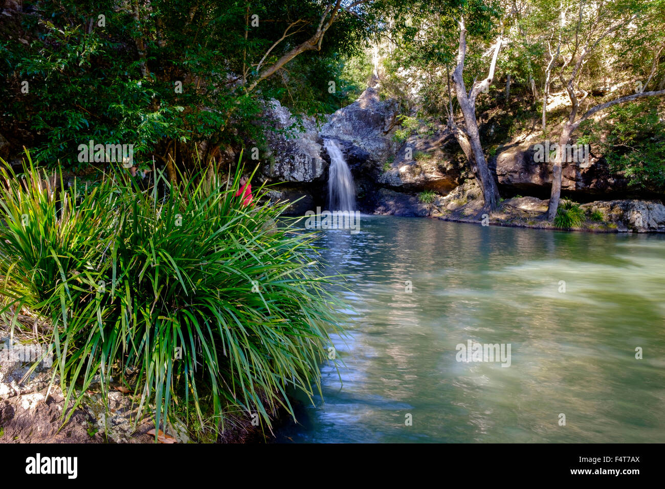 Falls at Kondalilla National Park Stock Photo - Alamy