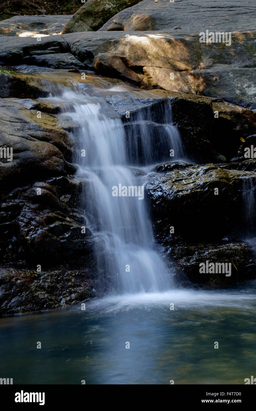 Waterfalls downstream from Serenity Falls at Buderim Forest Park Stock ...