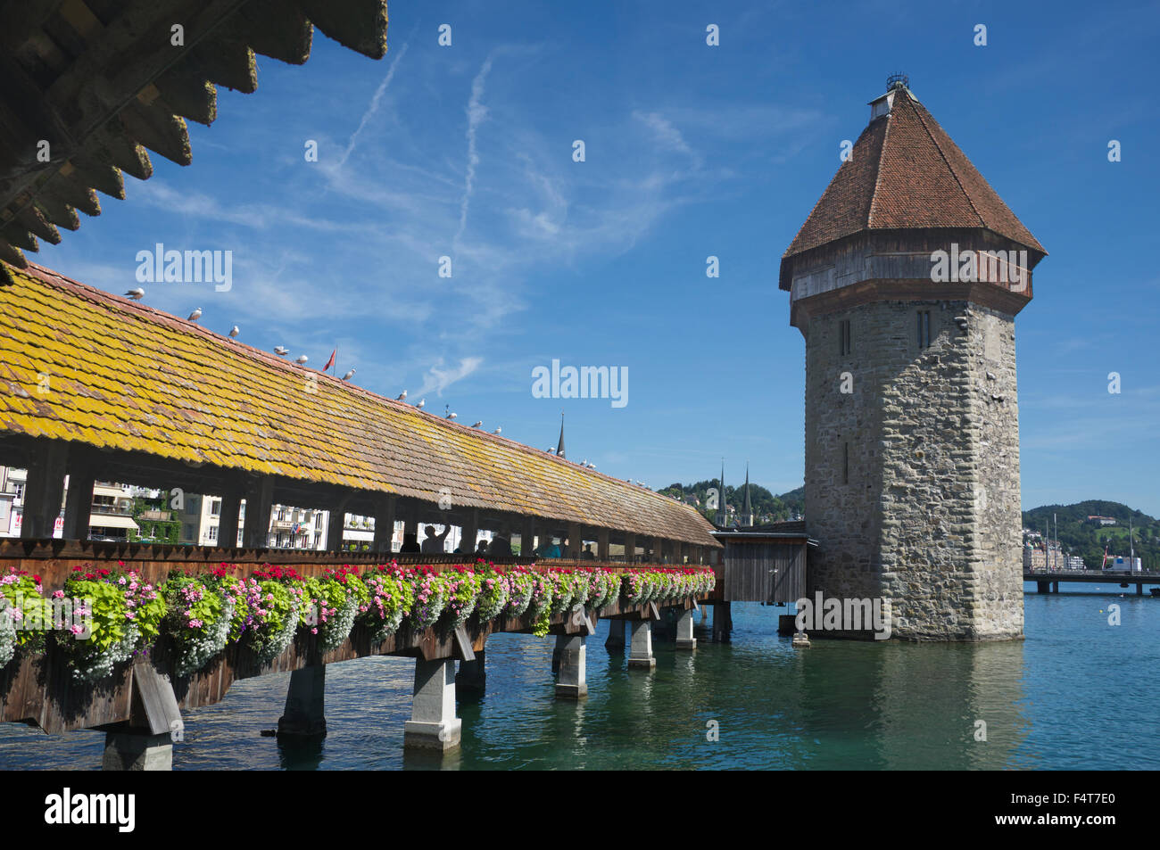 Water Tower and Chapel Bridge Lucerne Switzerland Stock Photo - Alamy