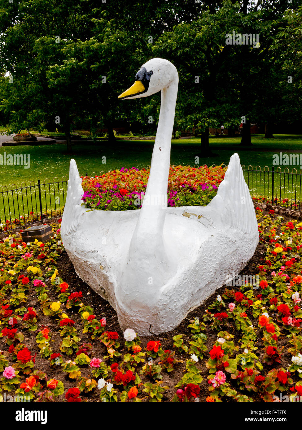 Large ornamental swan and flower bed in Stapenhill Gardens a riverside ...