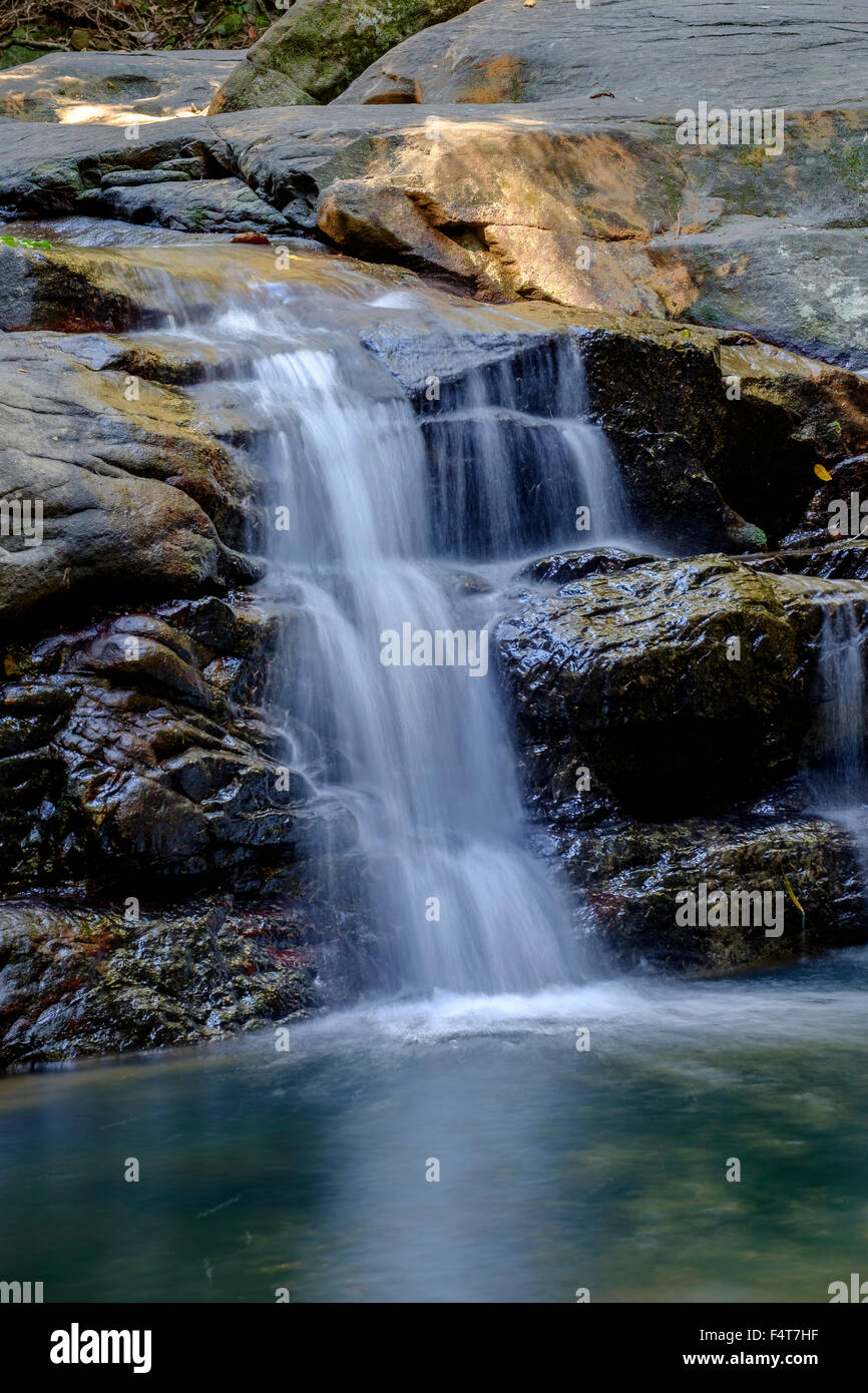 Waterfalls downstream from Serenity Falls at Buderim Forest Park Stock ...