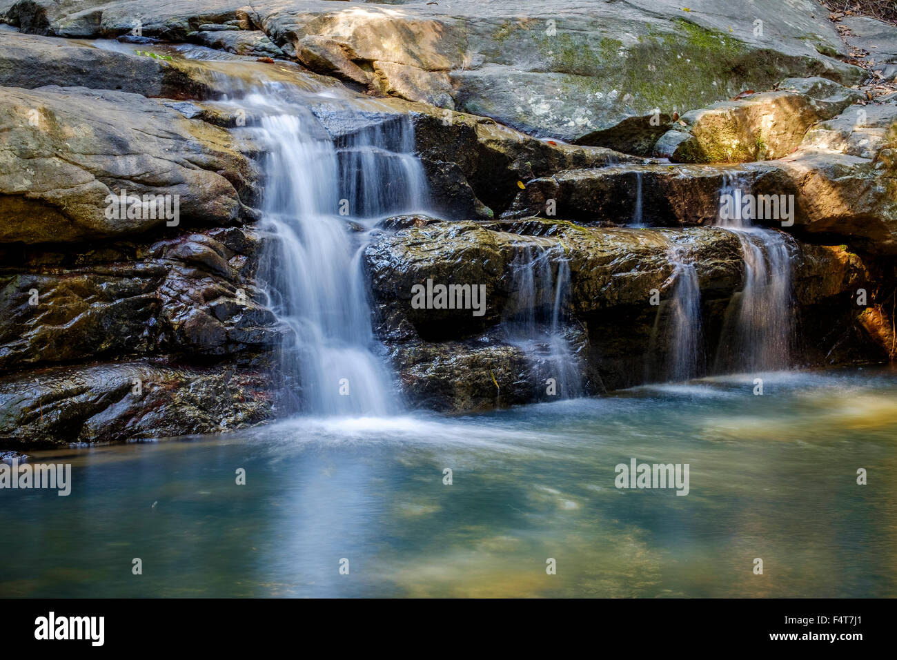 Waterfalls downstream from Serenity Falls at Buderim Forest Park Stock ...