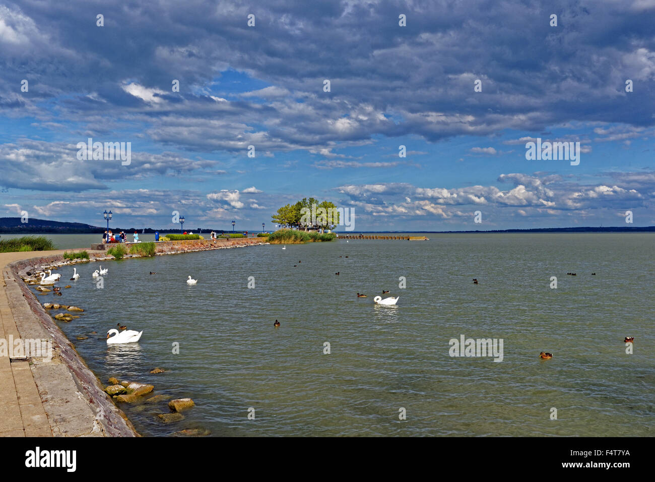 Mole, Jetty, flat lake, Balaton, swans, ducks Stock Photo - Alamy