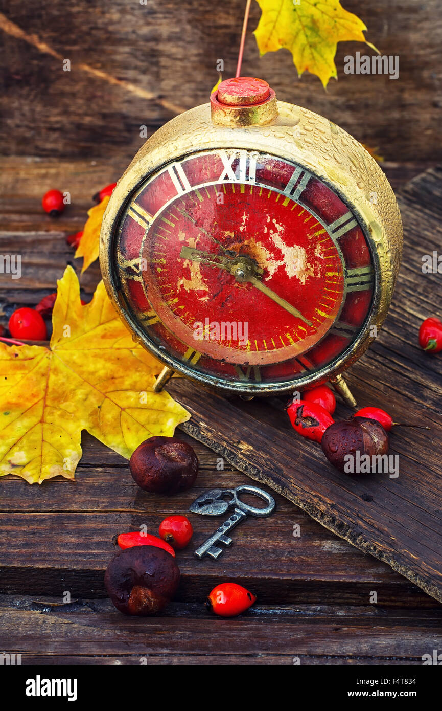 still life with alarm clock maple leaf and chestnuts Stock Photo - Alamy